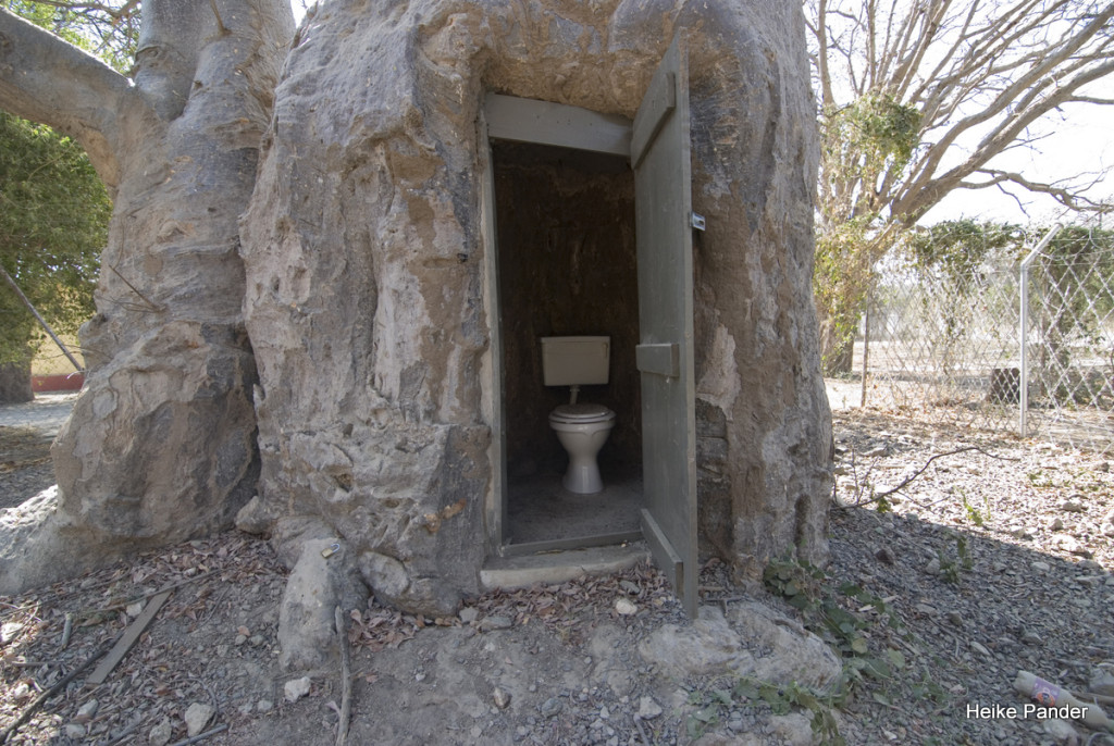 Kavango-Zambezi Transfrontier Conservation Area Archive - Baobab