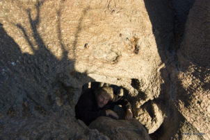 Tsumkwe, Namibia - Baobab
