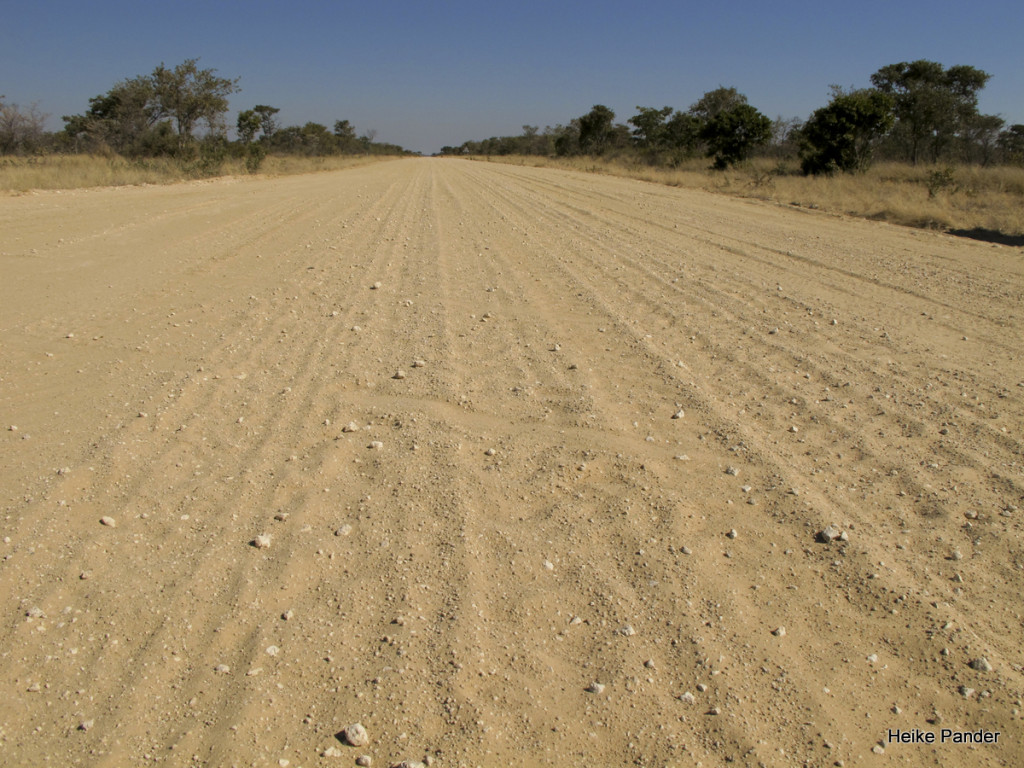 Tsumkwe, Namibia - Baobab